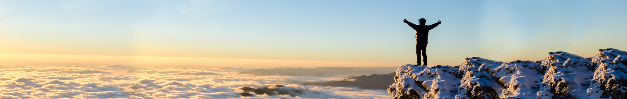 Industry Case Studies – Vici Partners